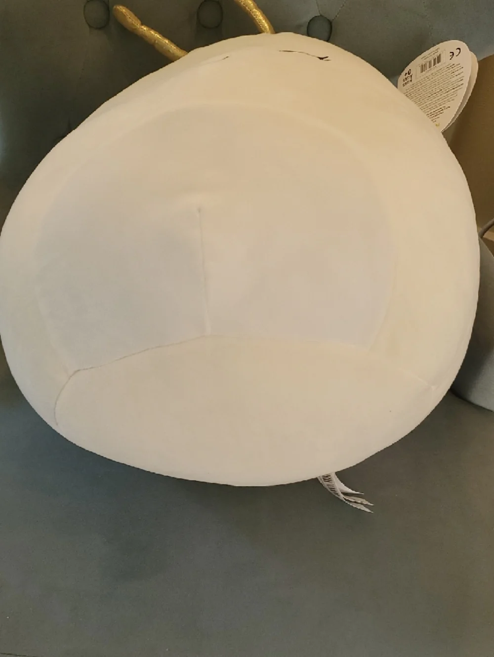 Squishmallows | Toys | 6 Elysasquishmallows Pastel Snail | Poshmark